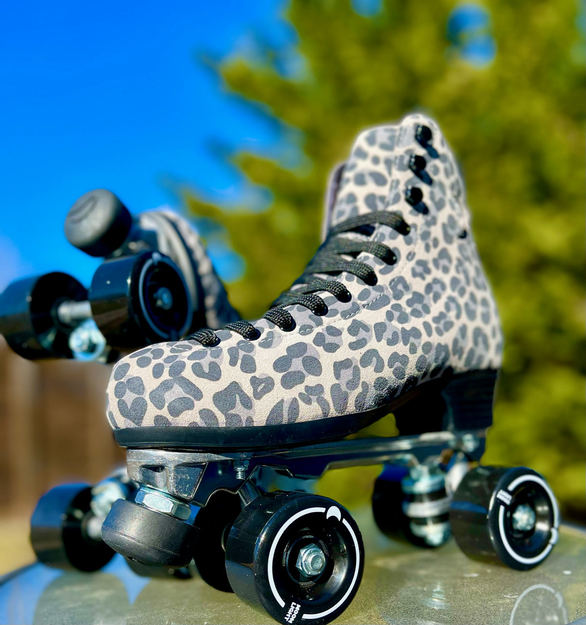 Moonlight Roller Skates – Shauwney's Skate Palace
